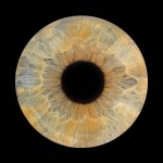 Eye-mazing Eye Photography Captures the Swirling Beauty of the Iris