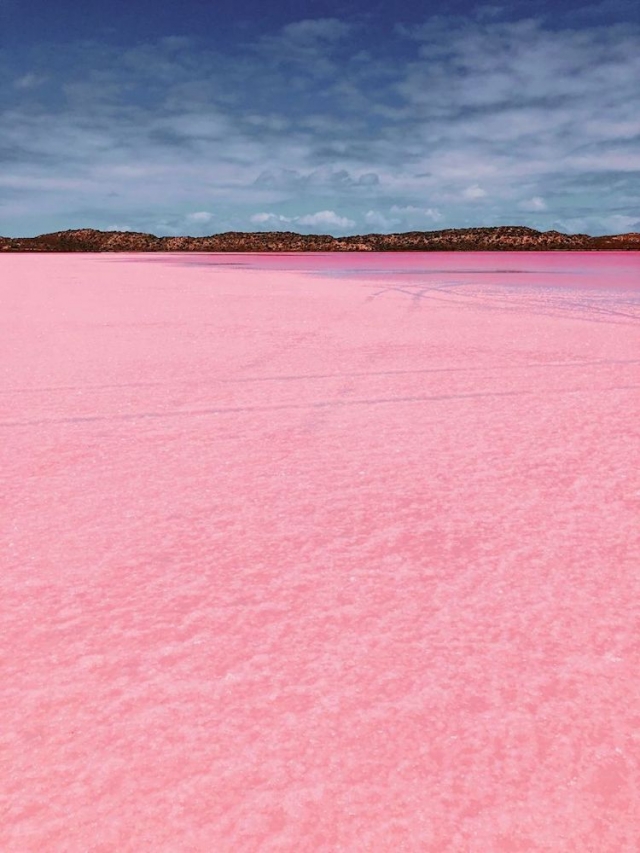 Photographer Captures the Candy-Colored Beauty of a Pink Lagoon