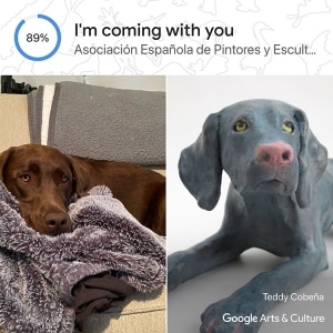 App de Google usa IA para encontrar al gemelo de tu mascota en el arte
