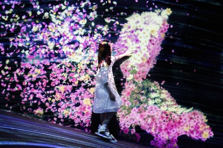 Cherry Blossoms Bloom at TeamLab's Fukuoka Forest