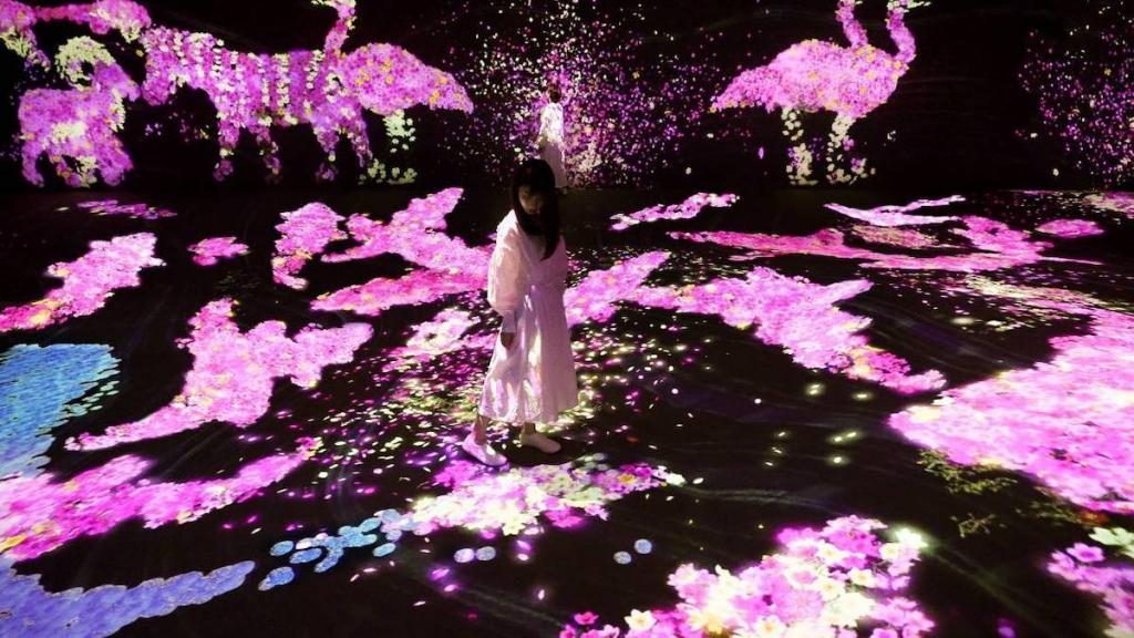 Cherry Blossoms Bloom at TeamLab's Fukuoka Forest