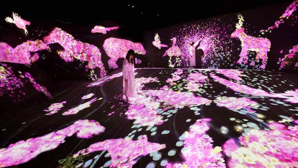 Cherry Blossoms Bloom at TeamLab's Fukuoka Forest