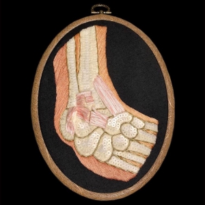 Anatomical Embroideries Offer a Dazzling Look at the Human Body Beneath ...