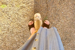 Woman Rescues a Stray Kitten Stuck in a Tree and It Decides To Move In