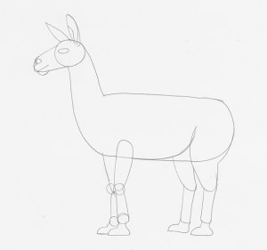 Learn How to Draw a Realistic Llama Step by Step