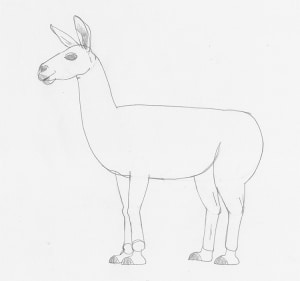 Learn How to Draw a Realistic Llama Step by Step