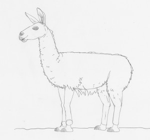 Learn How to Draw a Realistic Llama Step by Step