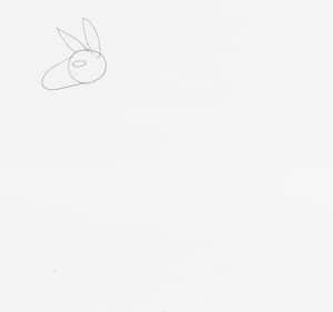 Learn How to Draw a Realistic Llama Step by Step