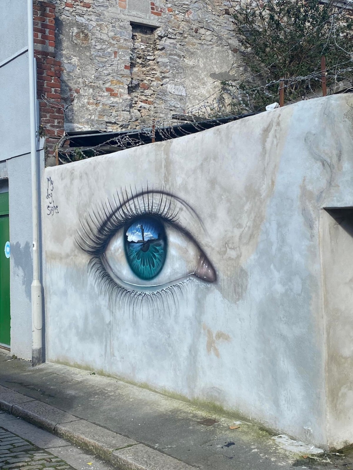 Street Artist Creates Eye-Mazing Murals That Stare at the Viewer
