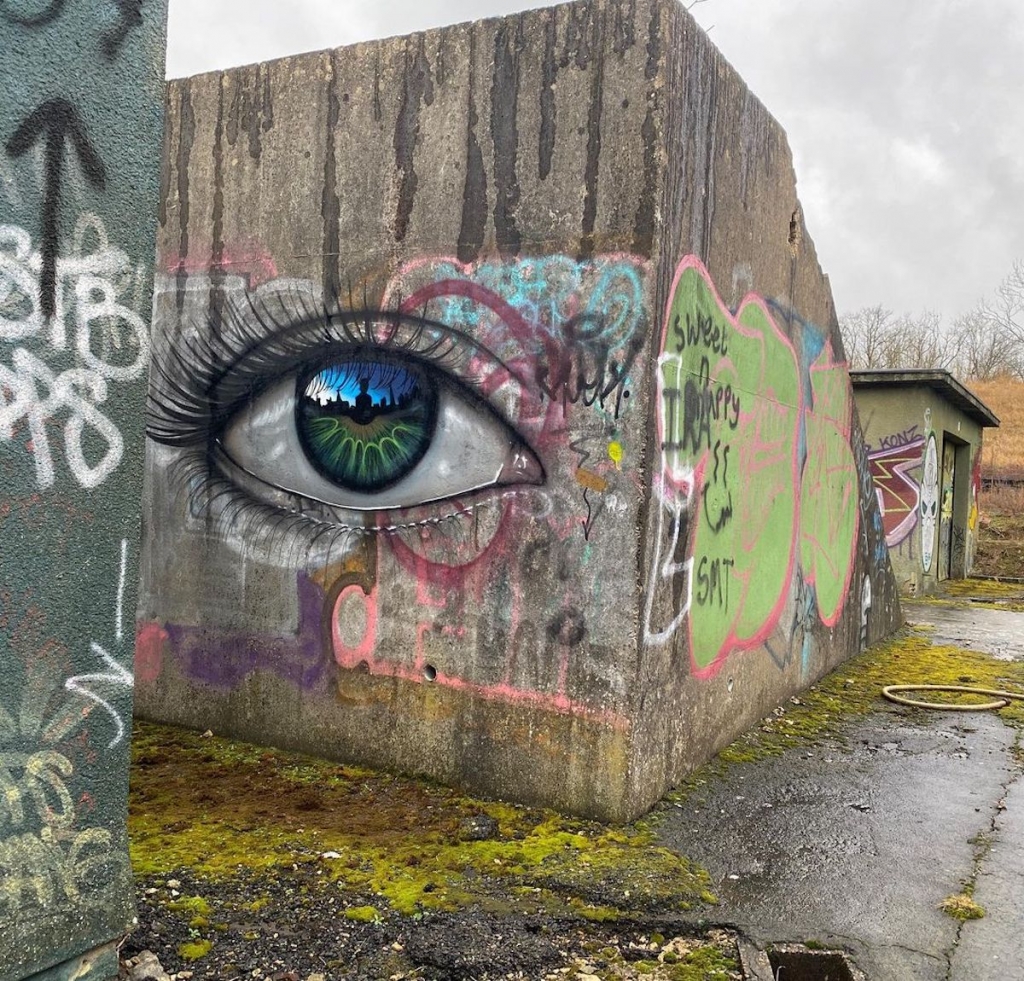 Street Artist Creates Eye-Mazing Murals That Stare at the Viewer