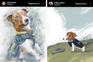 Bomb-Sniffing Hero Dog Has Helped Detect Over 90 Russian Explosives