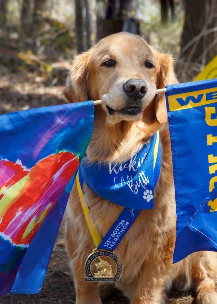 Beloved Golden Retriever Spencer Named Boston Marathon's Official Dog