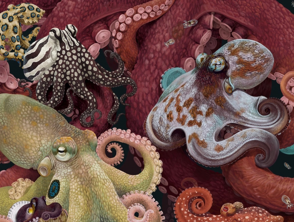 Hyperrealistic Marine Life Portraits Highlight the Ocean’s Incredible ...