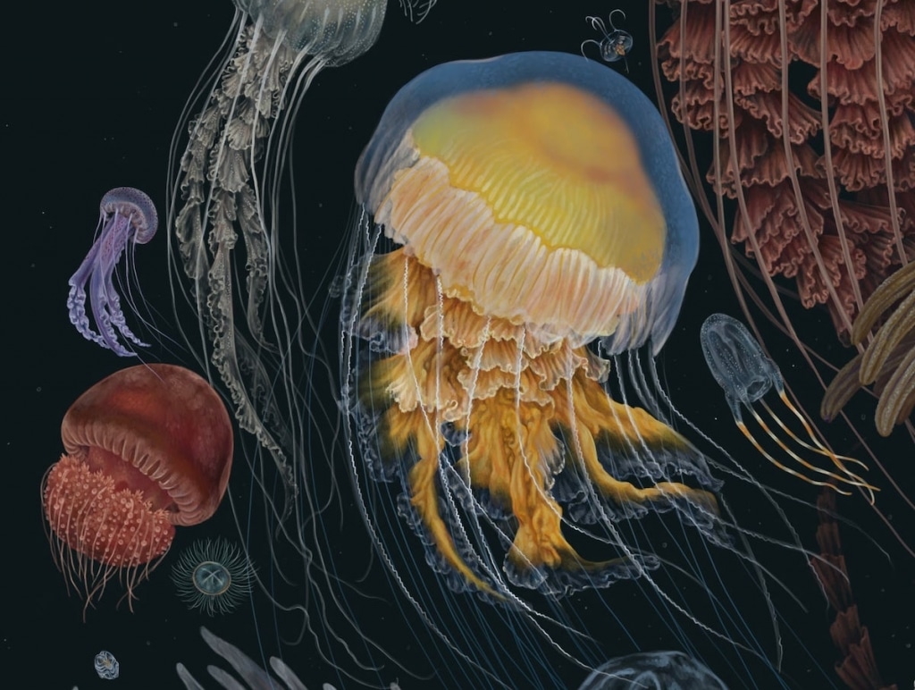 Hyperrealistic Marine Life Portraits Highlight the Ocean’s Incredible ...