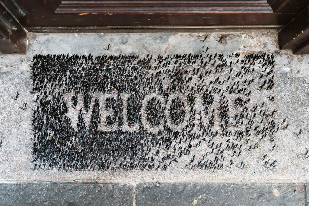 Painted Welcome Mat Bring Message of Inclusion to Aberdeen