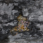 Ukrainian Artist Creates Unconventional Embroidery In Trees and Metal