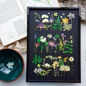 Learn How to Press Flowers in This Online Art Class
