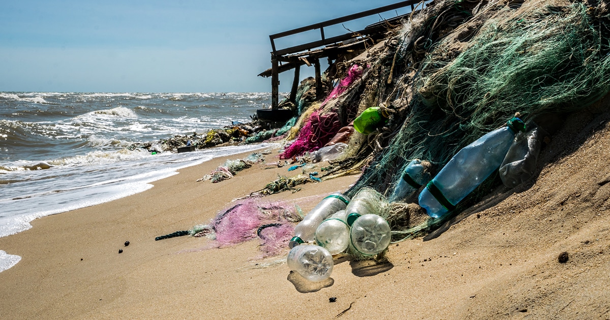 California Begins to Phase Out Single-Use Plastics