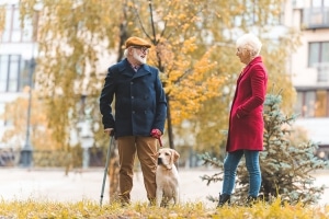More Dogs in a Neighborhood May Contribute to Lower Crime