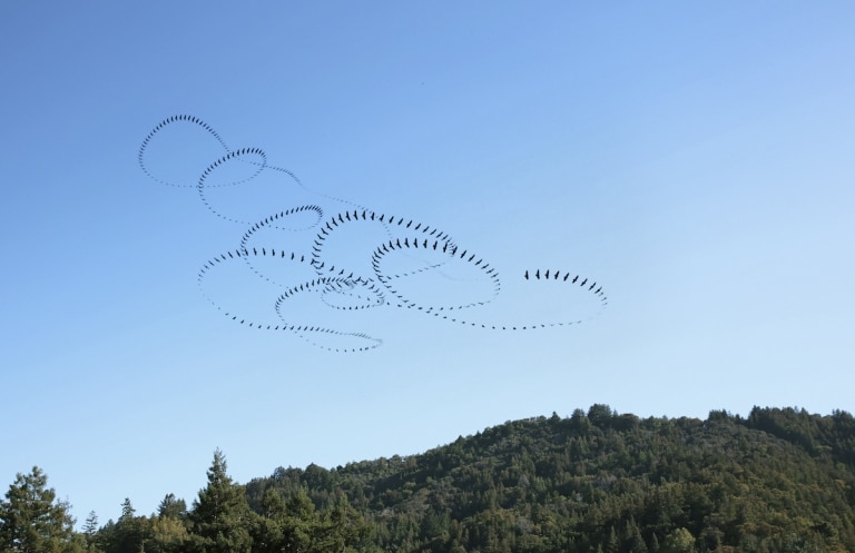 Photographer Captures Flight Trails in "Locked Down Looking Up"