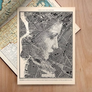Artist Reimagines Topographical Maps With Detailed Hand-Drawn Portraits ...