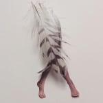 Artist Creates Amusing Compositions by Cleverly Arranging Objects