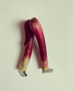 Artist Creates Amusing Compositions by Cleverly Arranging Objects