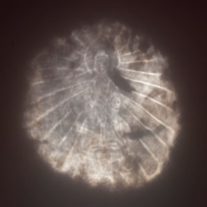 Centuries-Old “Magic Mirror” Discovered Hiding in Storage