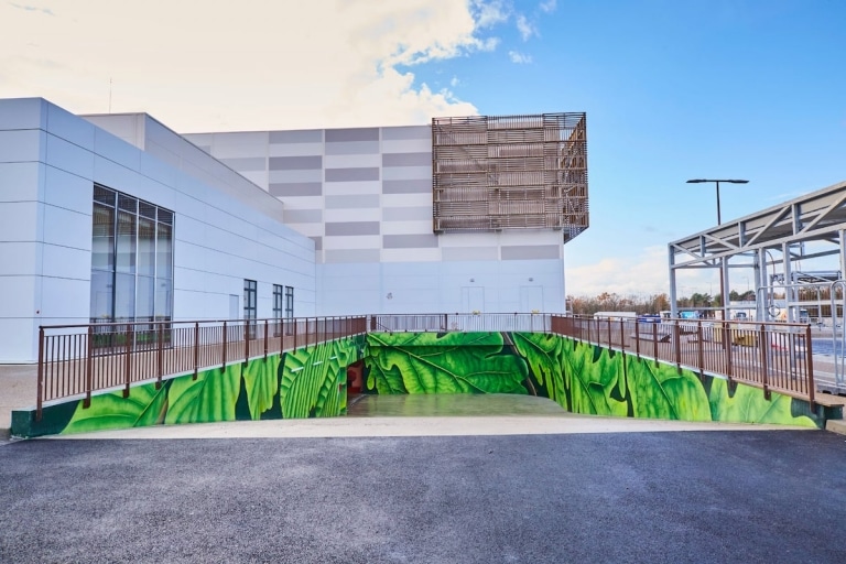 Larger-Than-Life Leafy Murals Sprout From Urban Spaces | My Modern Met