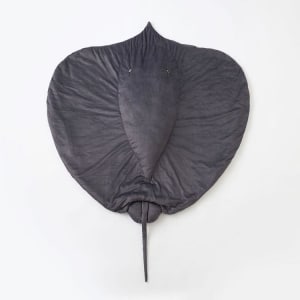 Plush Blanket Looks Like a Giant Freshwater Stingray