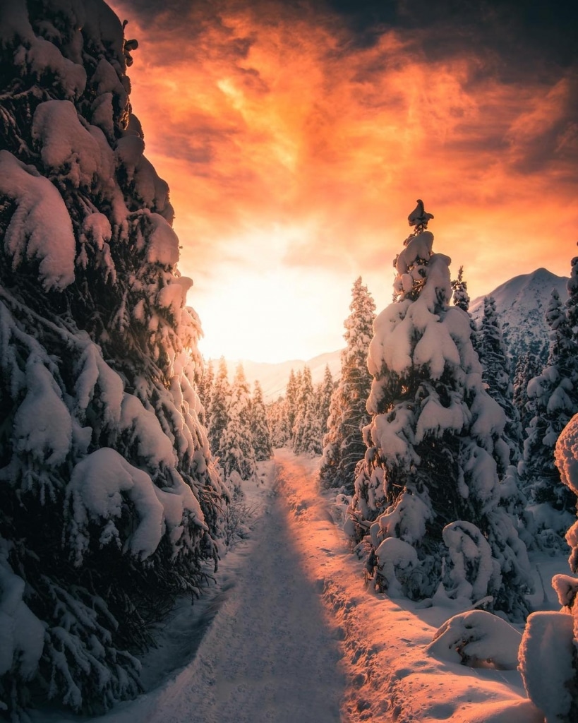 Photographer Captures the Vast Beauty of Alaska Through Breathtaking ...