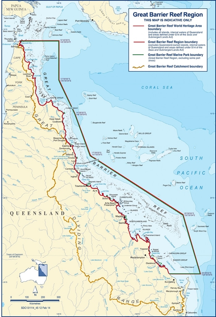 The Great Barrier Reef Show Highest Coral Cover in Decades