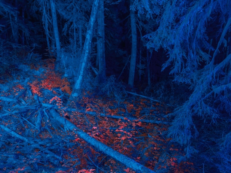 Photographer Uses UV Light to Create Otherworldly Landscapes