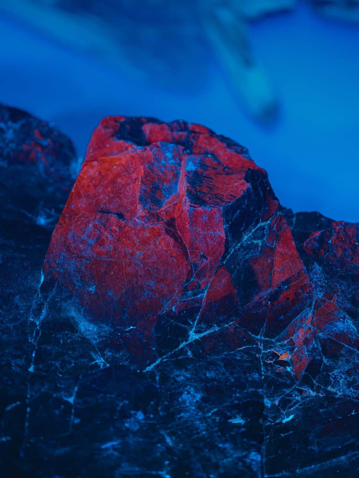 Photographer Uses UV Light To Create Otherworldly Glowing Landscapes on ...