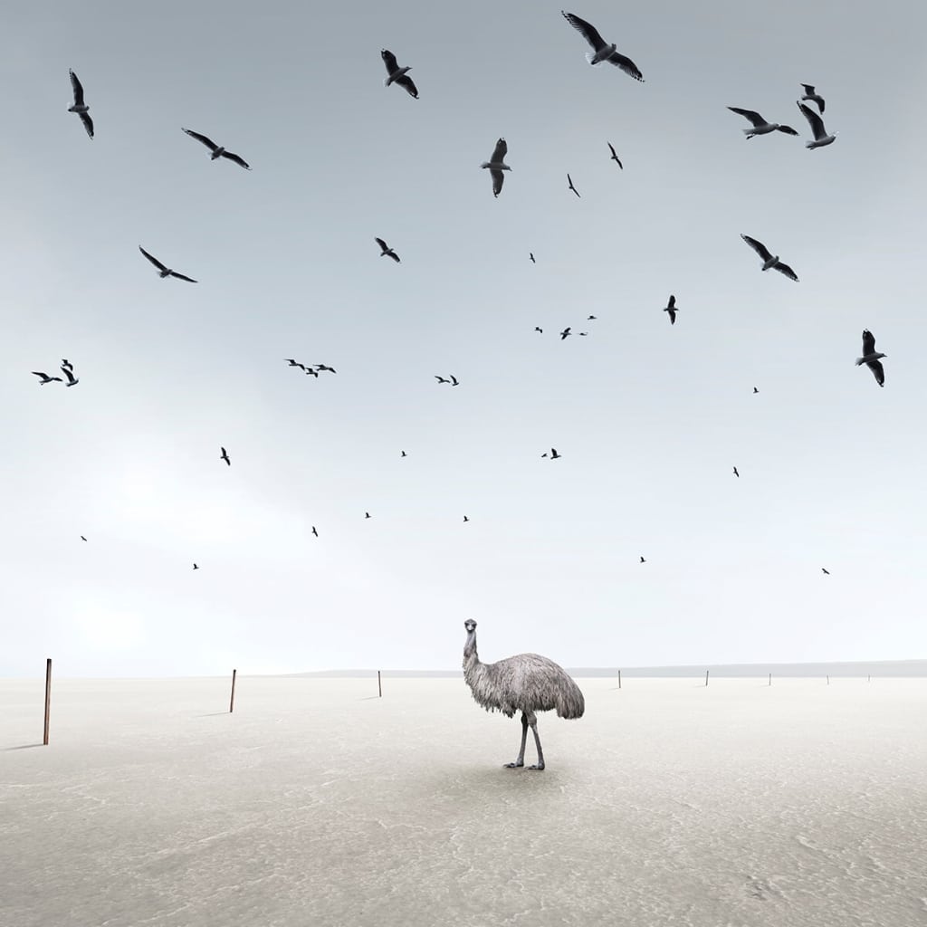 Winners of the Minimalist Photography Awards Show the Power of ...