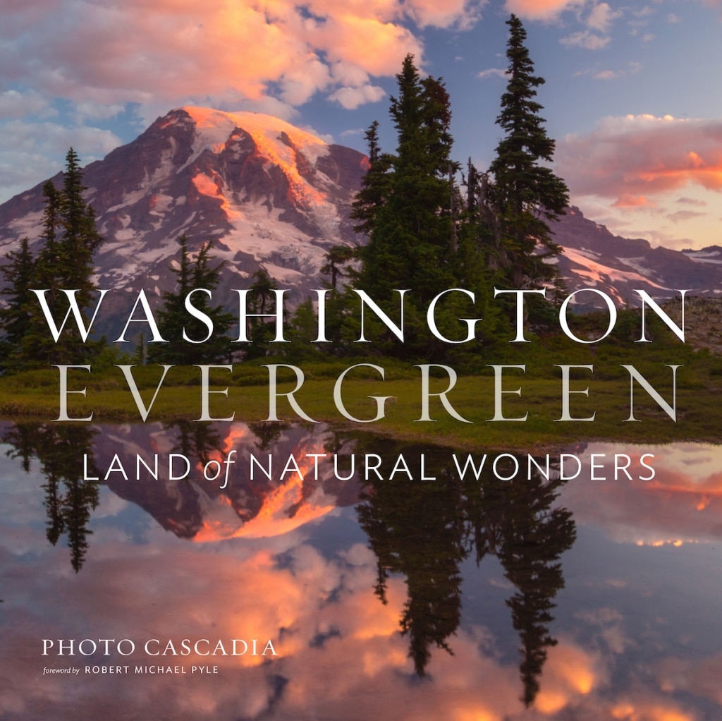 Photography Collective Highlights Washington State’s Beautiful Vistas ...
