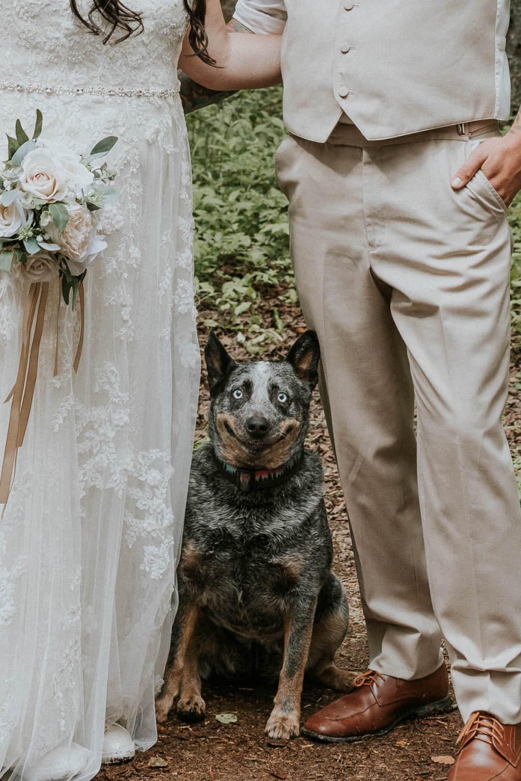 Dog Photobombs Pawrent's Wedding Photos And It's Adorable