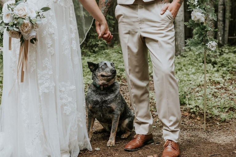 Dog Photobombs Pawrent's Wedding Photos And It's Adorable