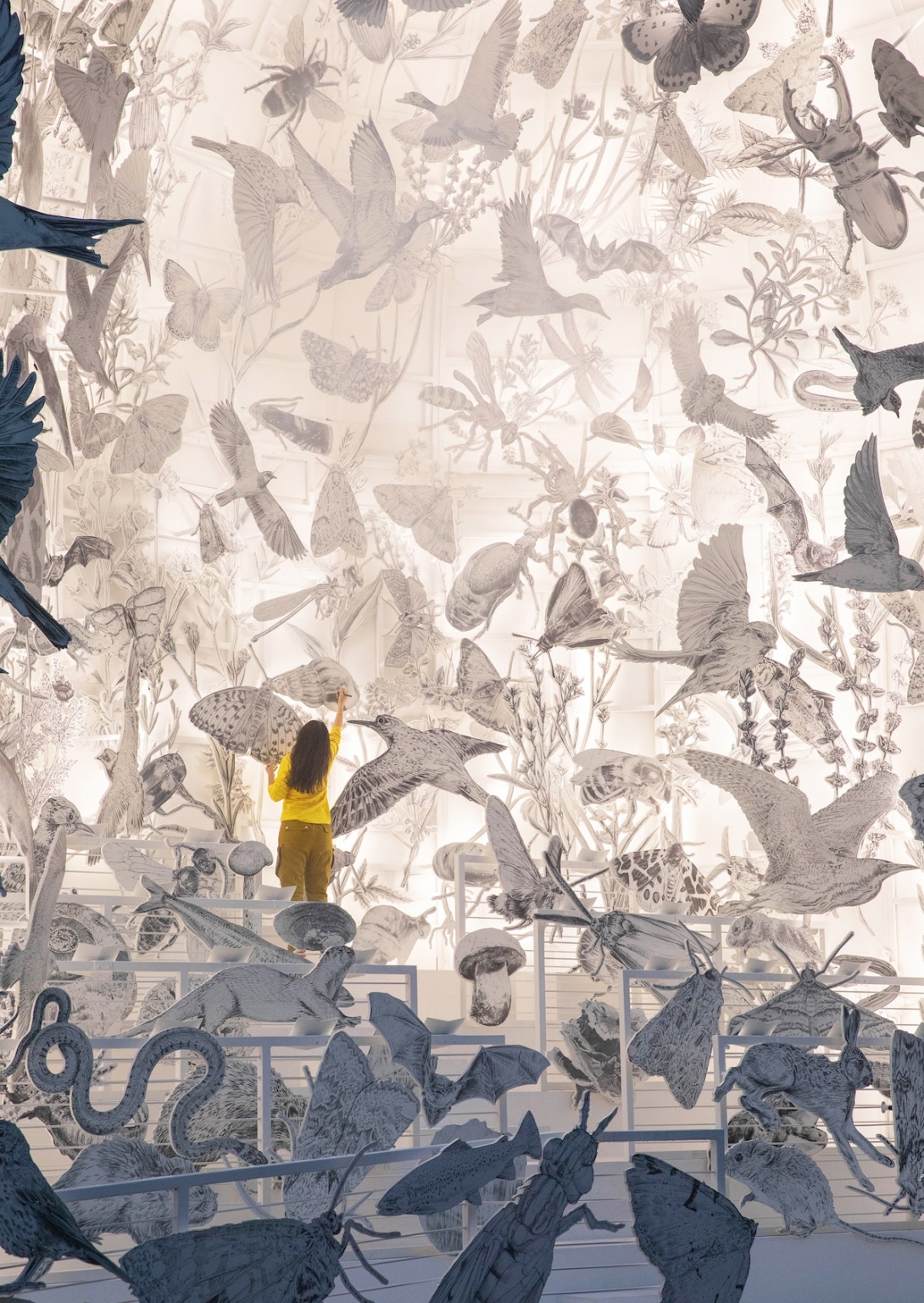 Artist Draws 243 Endangered Species for Moving Art Installation