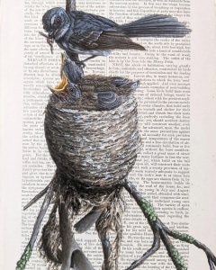 Artist Adds Exquisite Bird Paintings to Vintage Book Paper