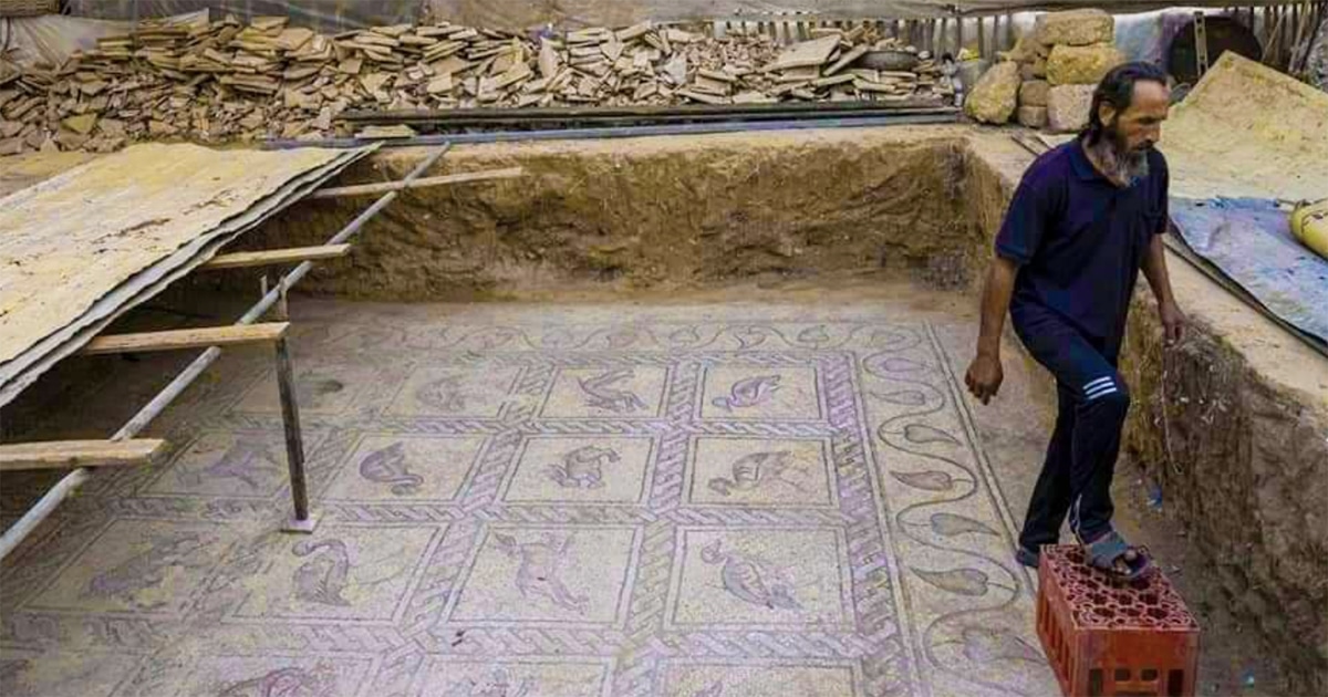 Farmer Discovers Byzantine Mosaic Under His Olive Grove
