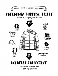 Patagonia's Founder Gives Up Ownership to Help the Planet