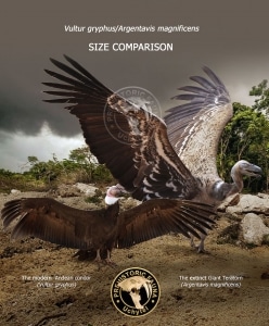 Illustrations Compare Size of Prehistoric and Modern Animals