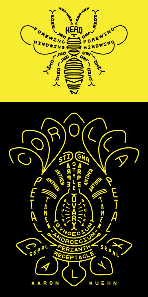 Helpful Typograms Elegantly Visualize Complex Systems