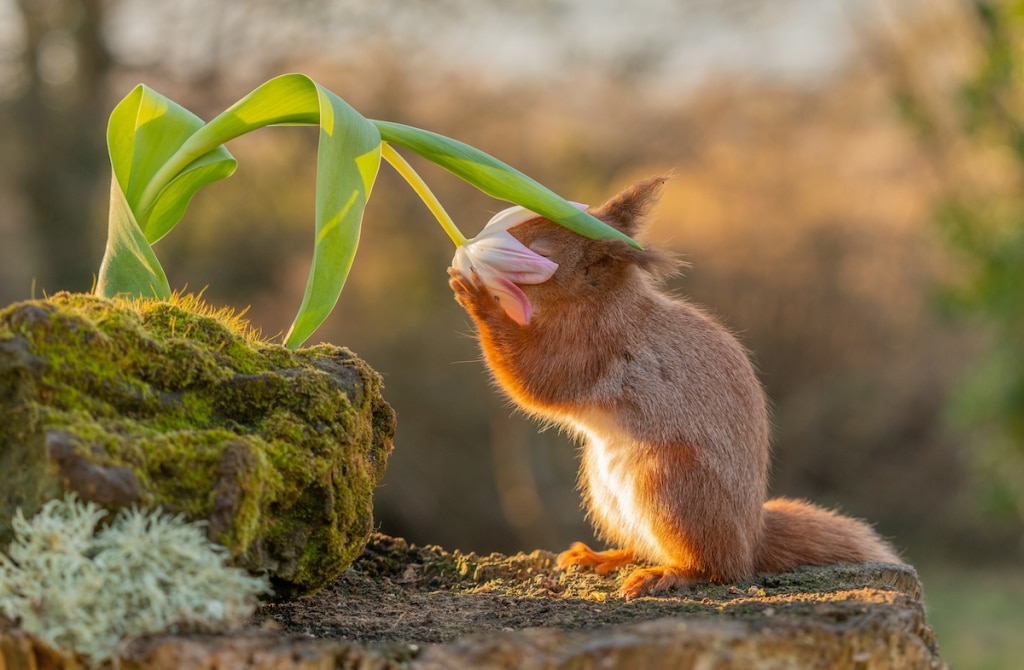 20 Outstanding Images From the 2022 British Photography Awards ...