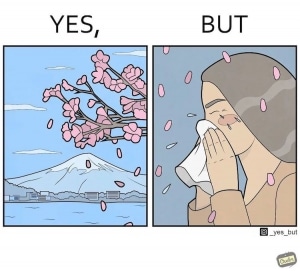 Funny 'Yes, But' Comics Depict the Contradictions in Everyday Life