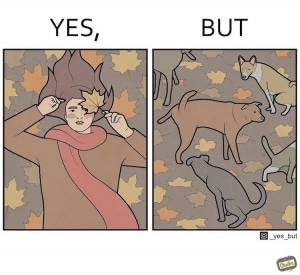 Funny 'Yes, But' Comics Depict the Contradictions in Everyday Life