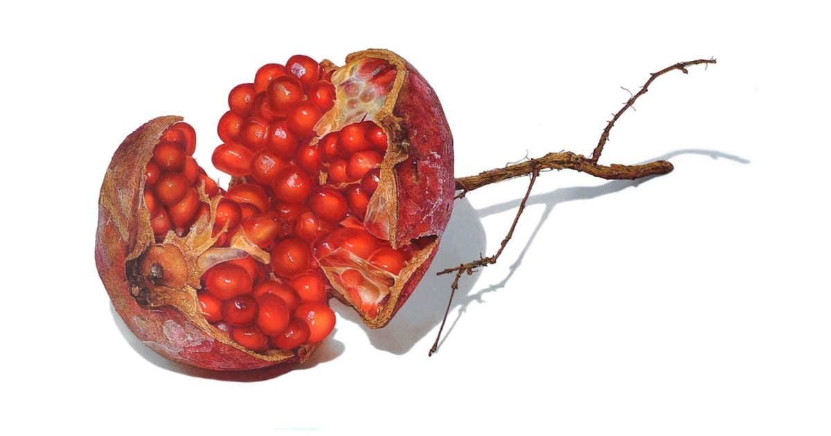 Hyperrealistic Drawings Resemble Actual Plants