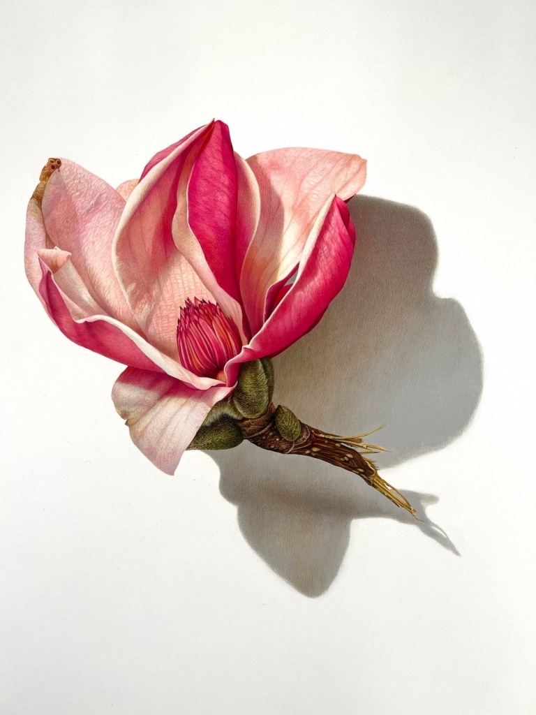 Hyperrealistic Drawings Resemble Actual Plants