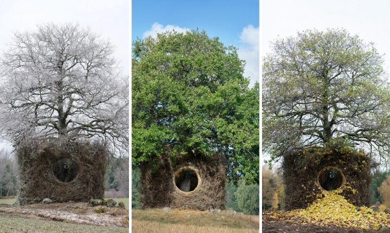 One Tree, Four Season: Land Art Chronicles Time With Single Tree